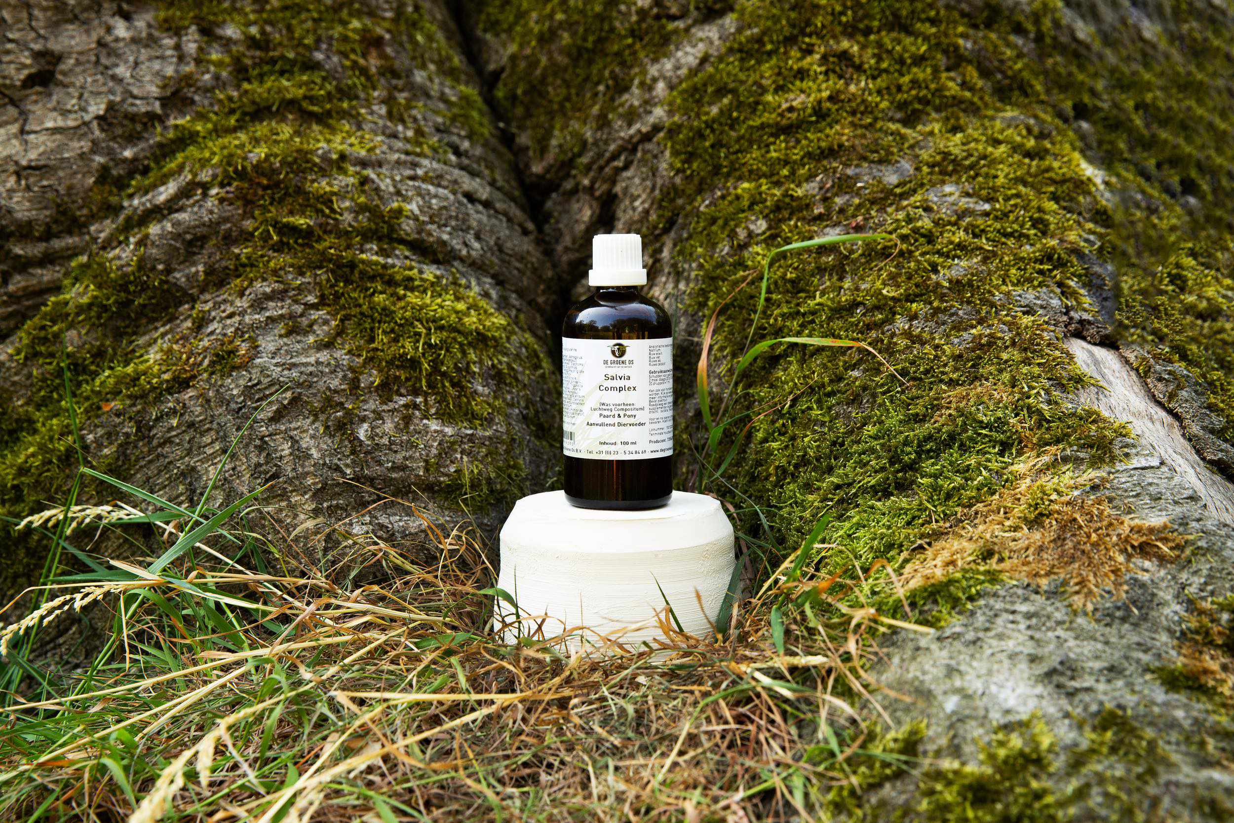 Homepage - De Groene Os