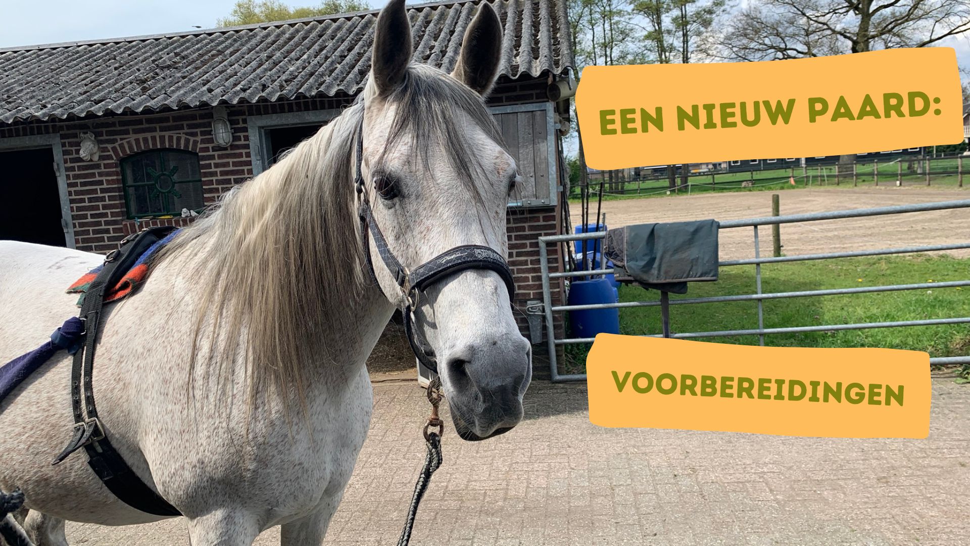Hoe bereid je je voor op de komst van een nieuw paard? - video - De ...