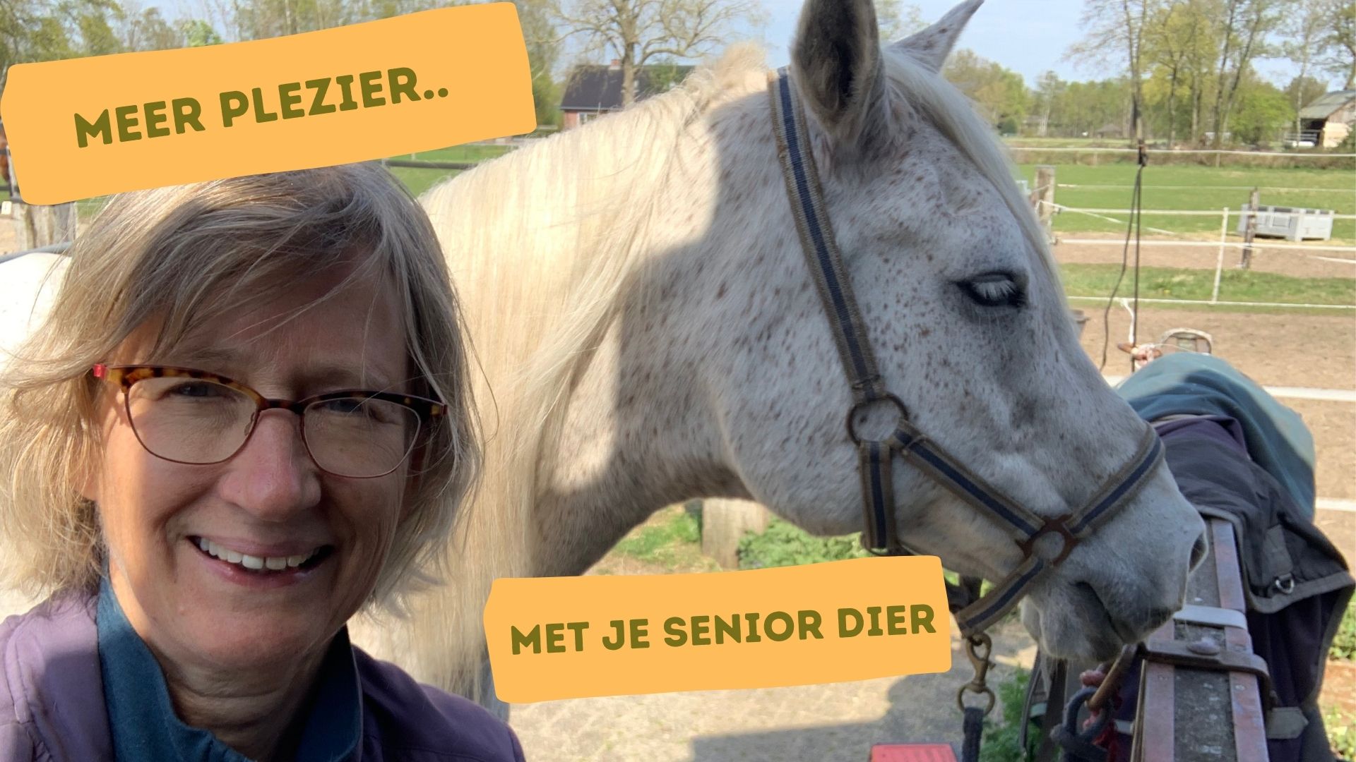 Video: Meer plezier met je senior dier! - De Groene Os