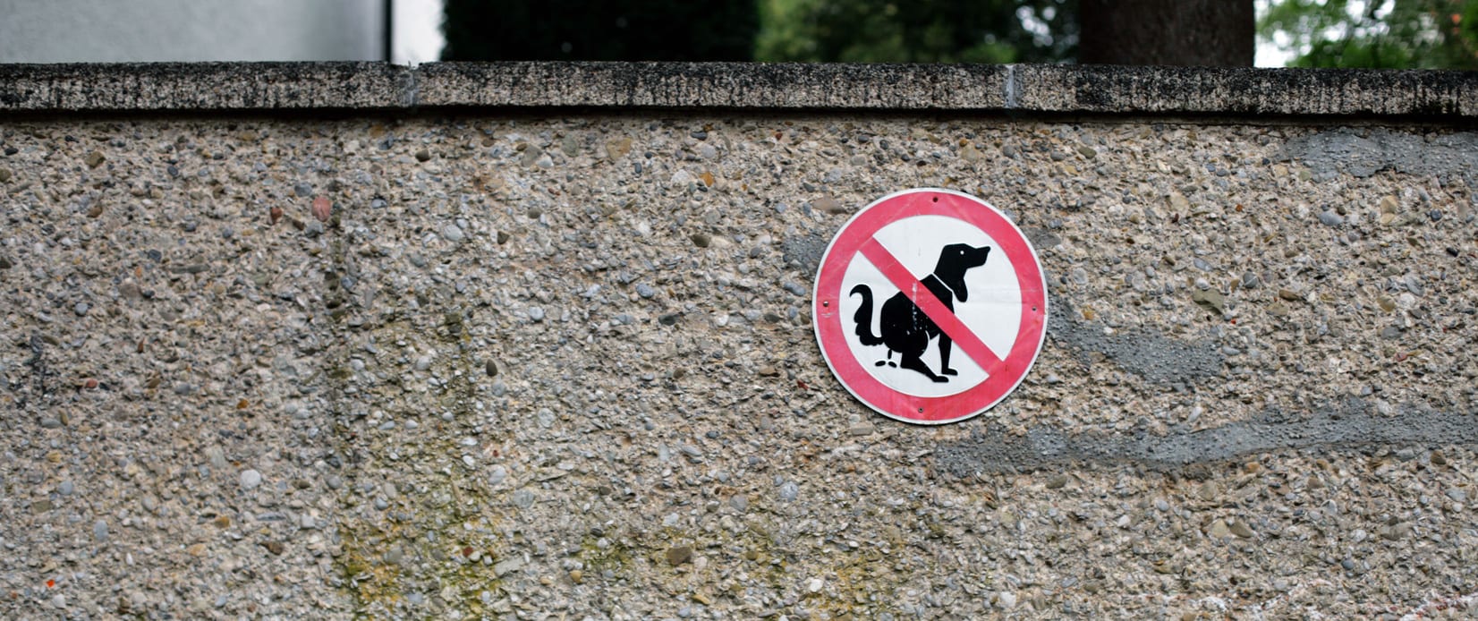 Help! Mijn hond eet poep! - De Groene Os