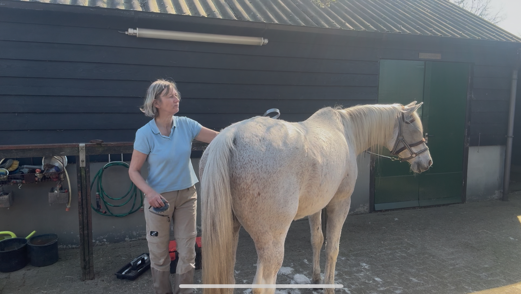 Hormonen in balans bij je dier - De Groene Os